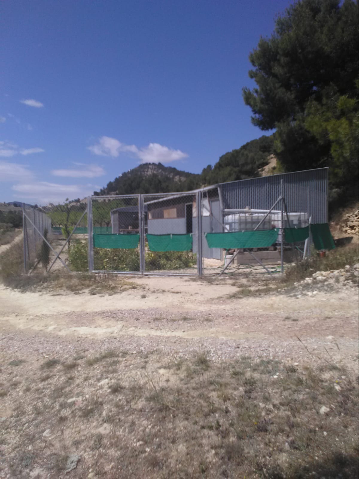 Dog´s compound | Construcciones PToral